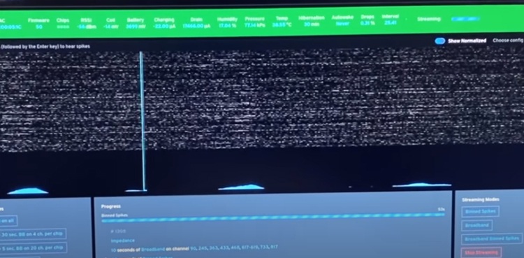 WATCH: Monkey playing Pong with its brain-computer technology