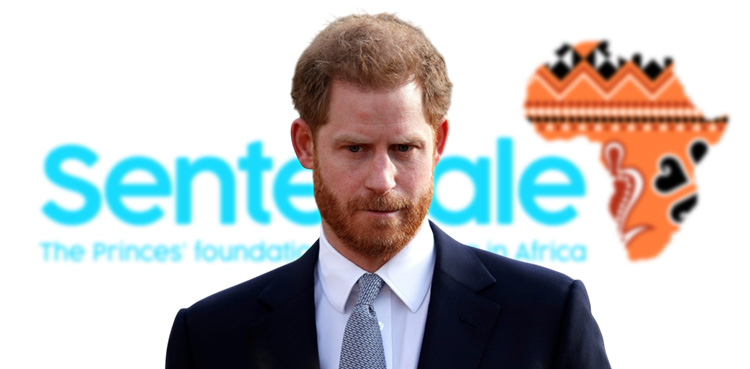 Sentebale power struggle leaves Prince Harry ‘devastated’